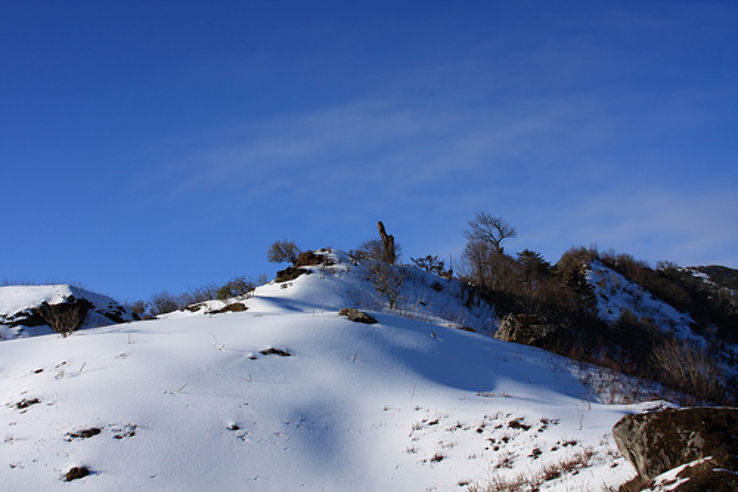 A complete travel guide to Zuluk | Enjoy the trip | Jayanti Travels